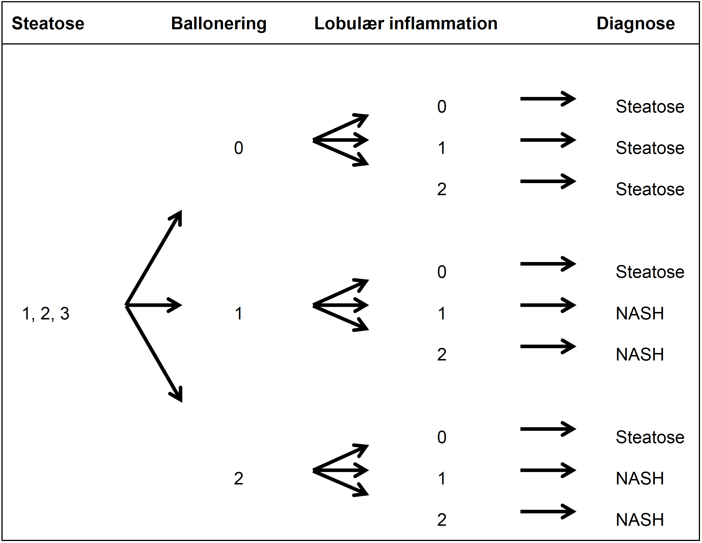 Non-alkoholisk fedtleversygdom (NAFLD): Diagnostik og behandling
